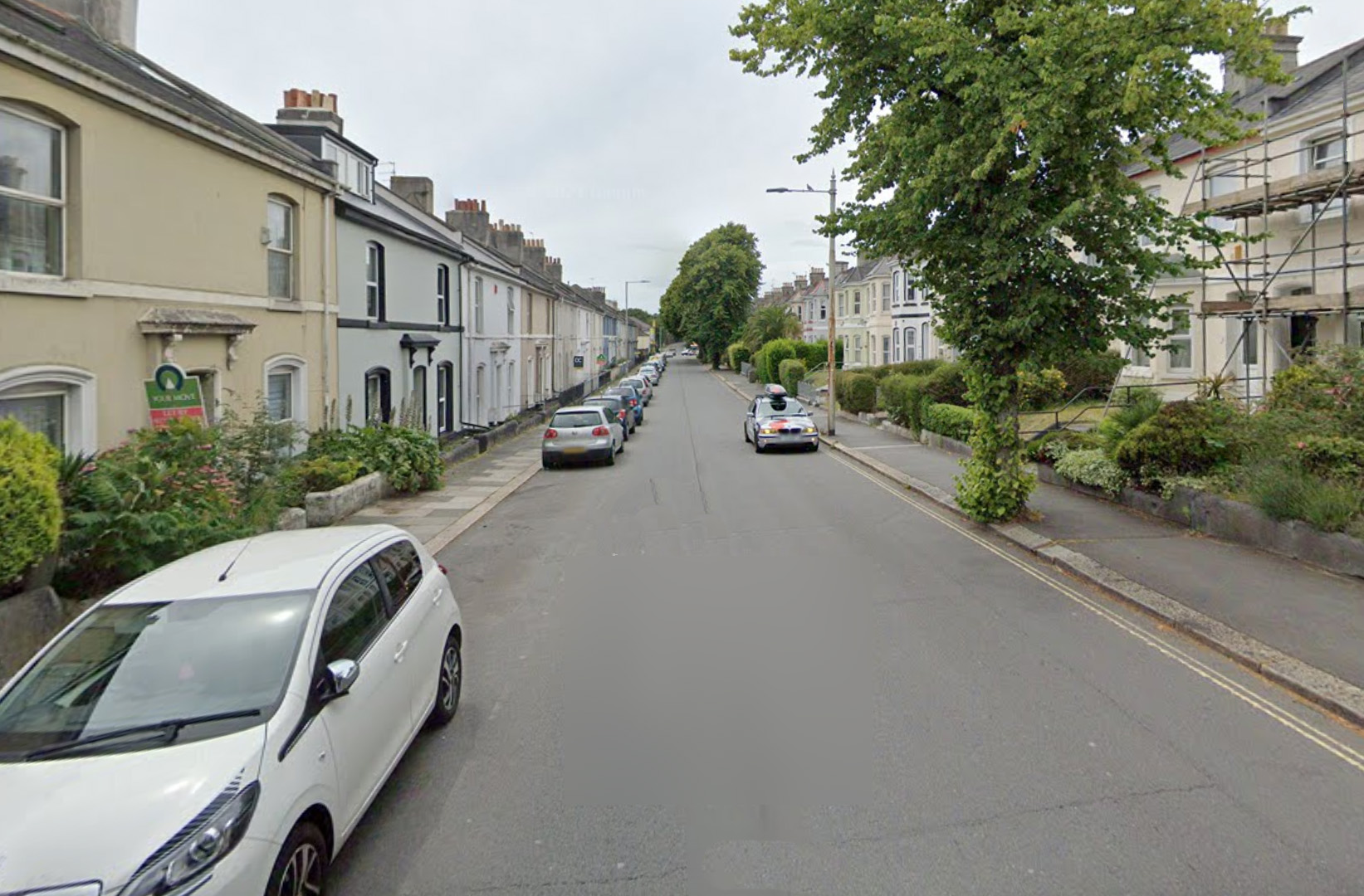 Wilton Street | Plymouth Tree People
